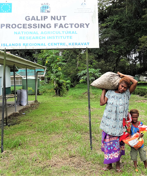 QUT - PNG's humble nut that cracked open women’s empowerment
