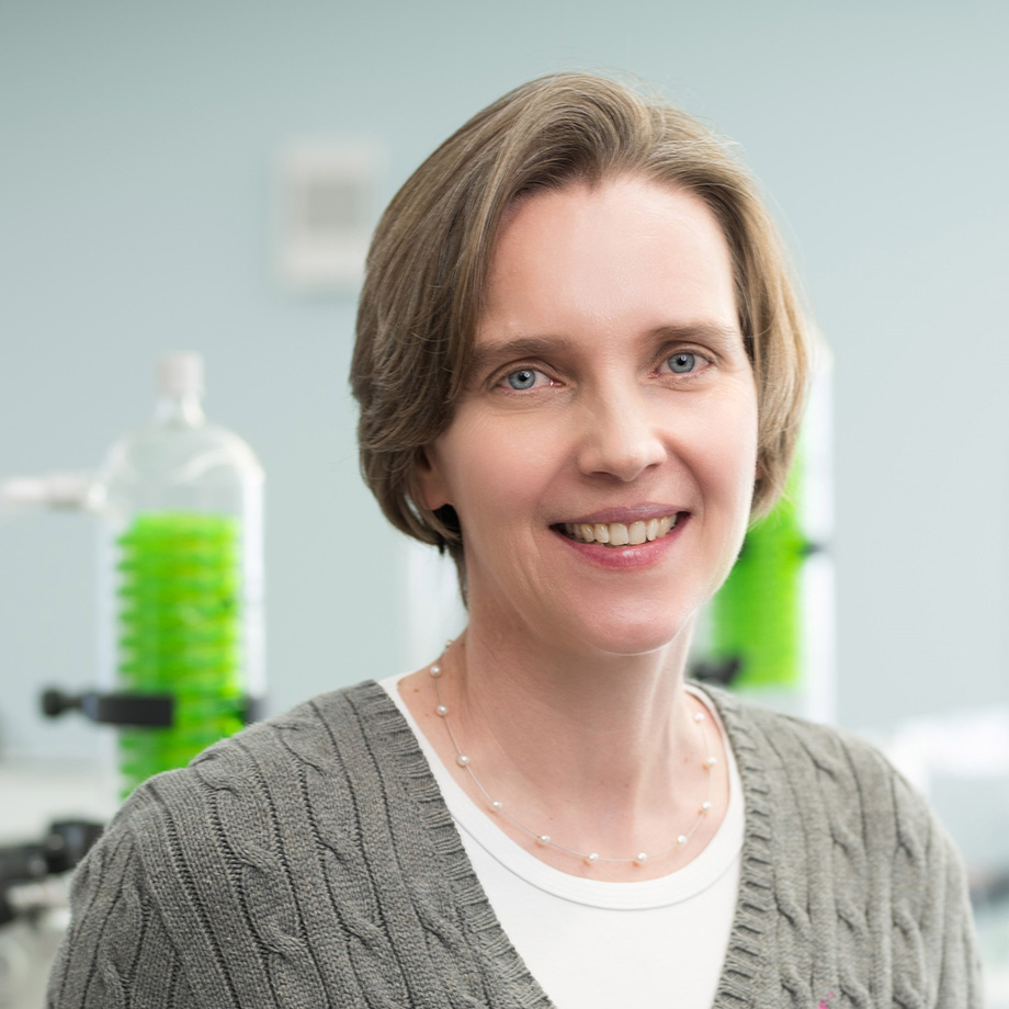 QUT - QUT experts - Brisbane 2032 Olympic and Paralympic Games